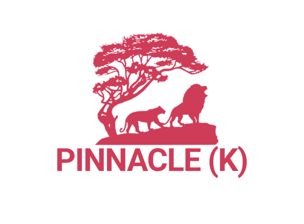 Contact – Pinnacle Travel and Safaris